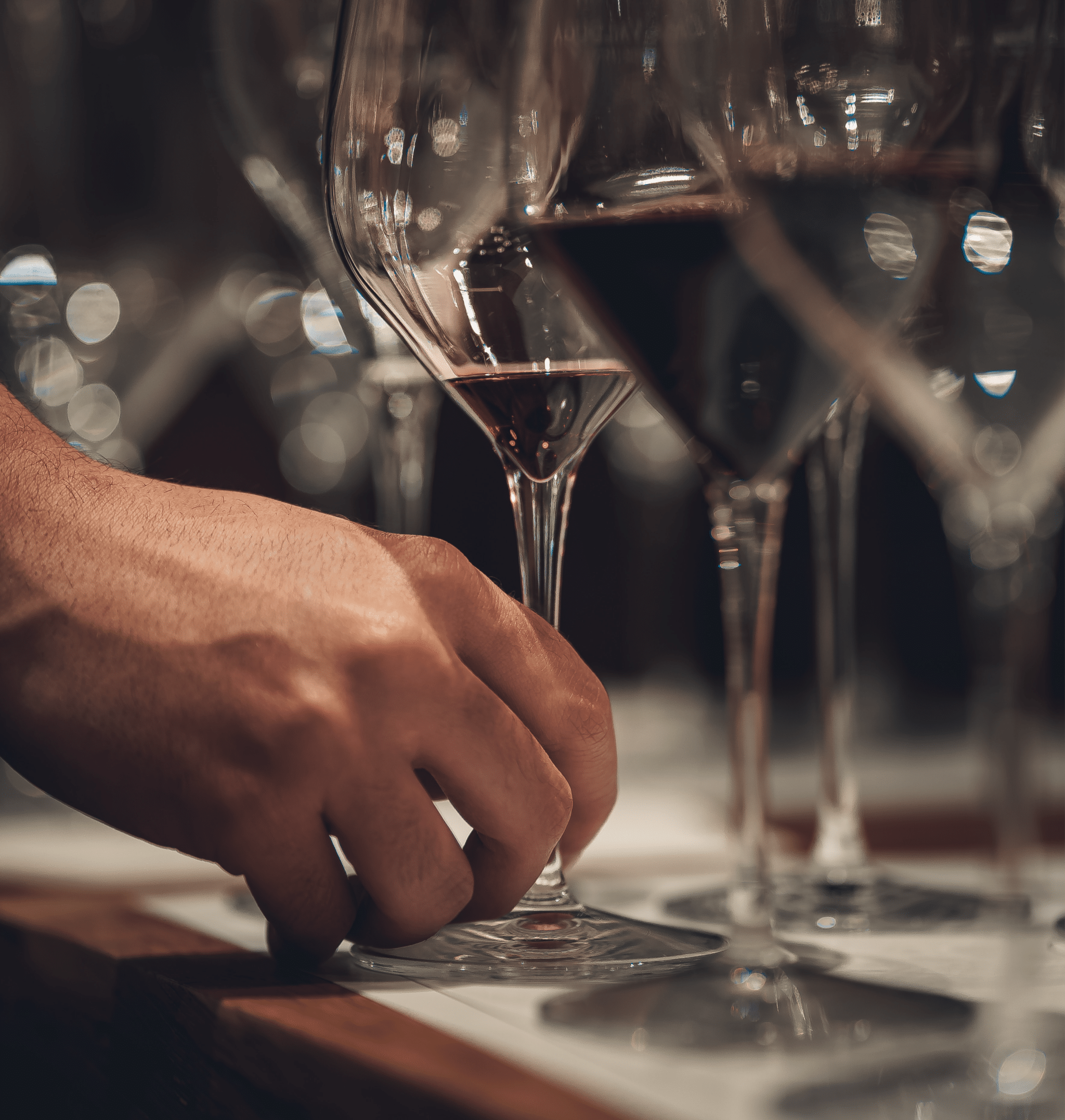 Wine tasting - Wines&Co